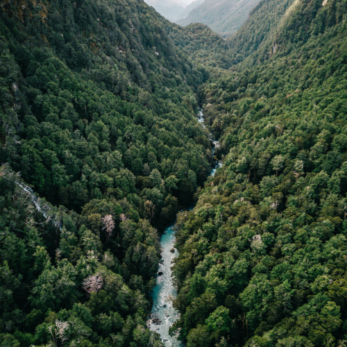 Toitu Carbon Reduce Certified Product - Trinity Aluminium